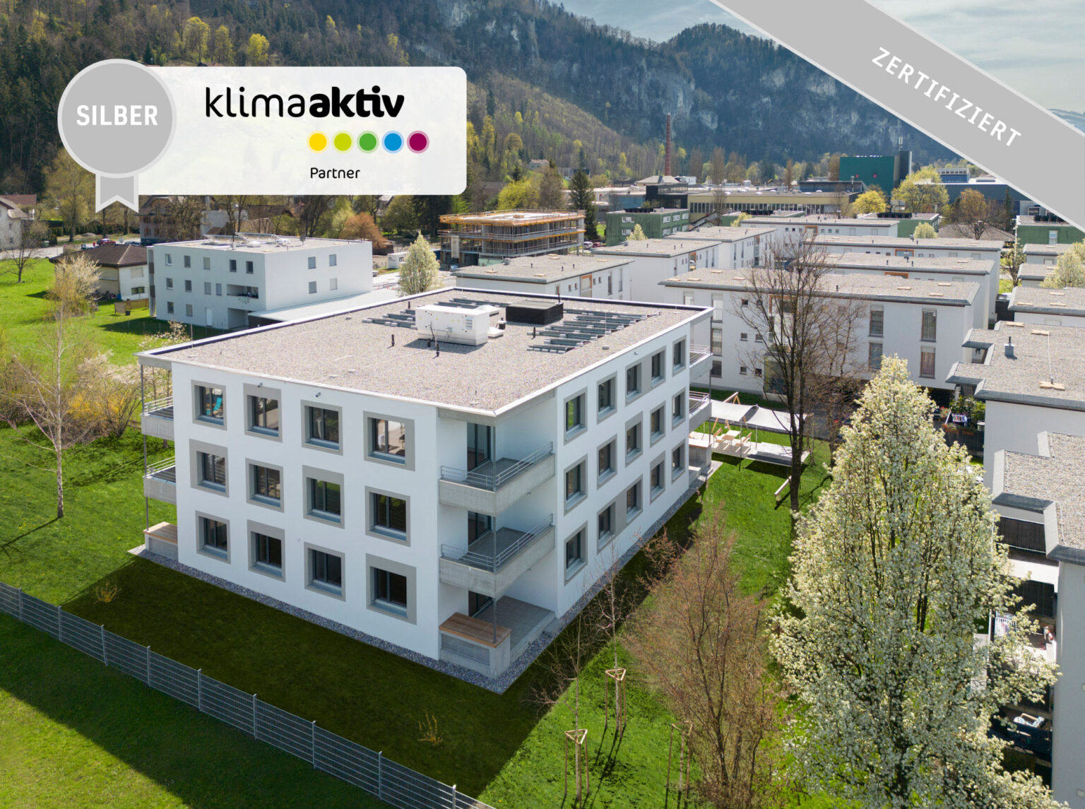 Hohenems, Im Brühl › Alpenländische Vorarlberg